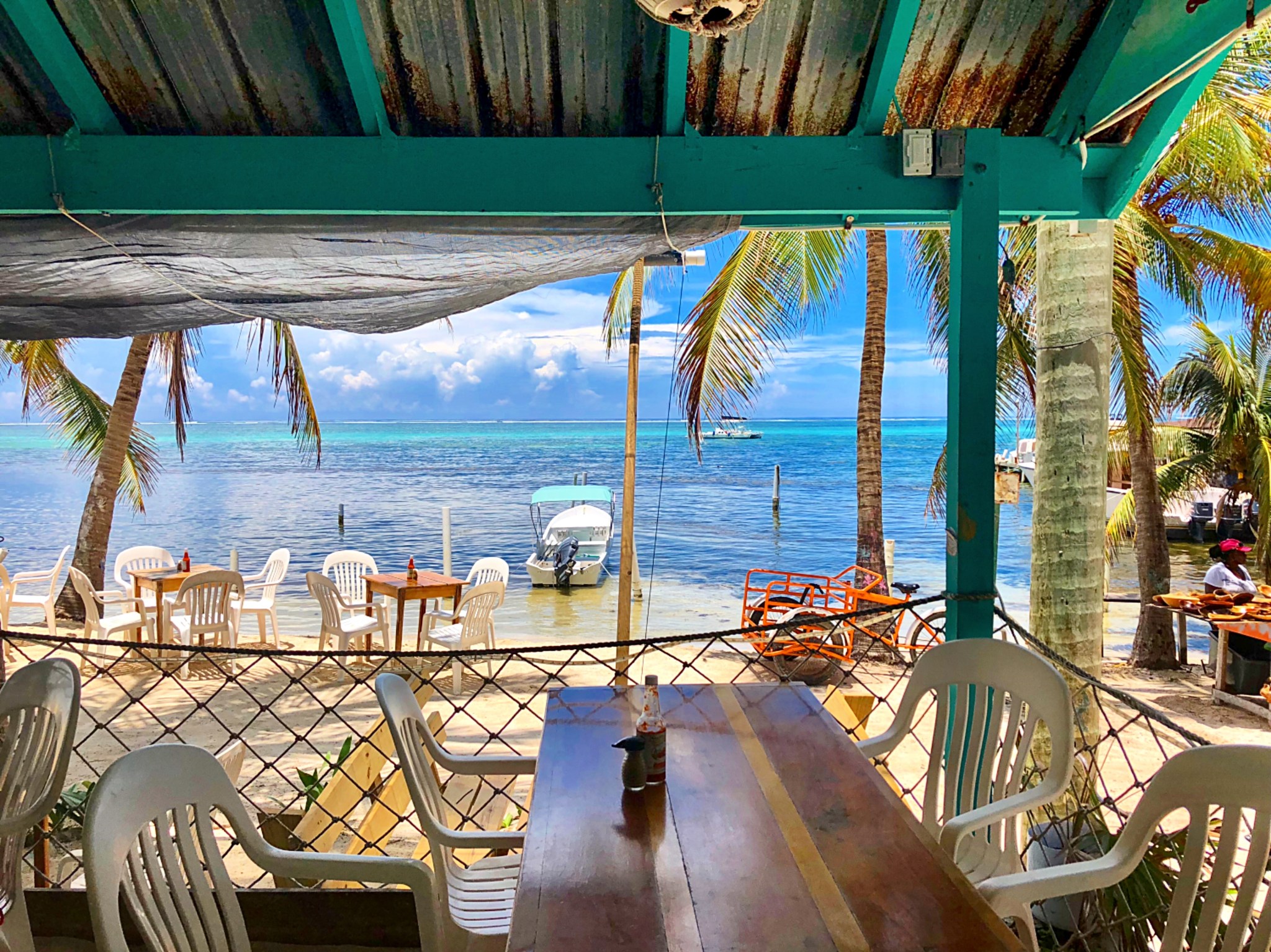 Jamie Fitzgerald – Scalable solutions for causes that count.